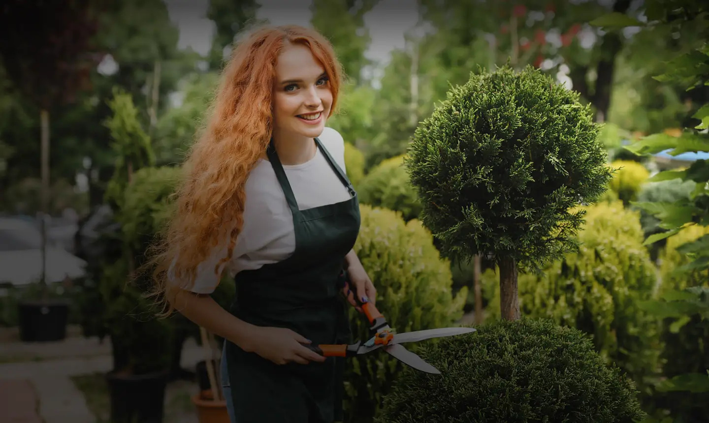 Professional Hedge Trimming Services in Palmers Green